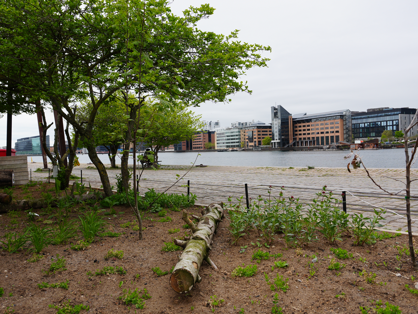 Kulturhuset Islands Brygge | Kulturhuset Islands Brygge